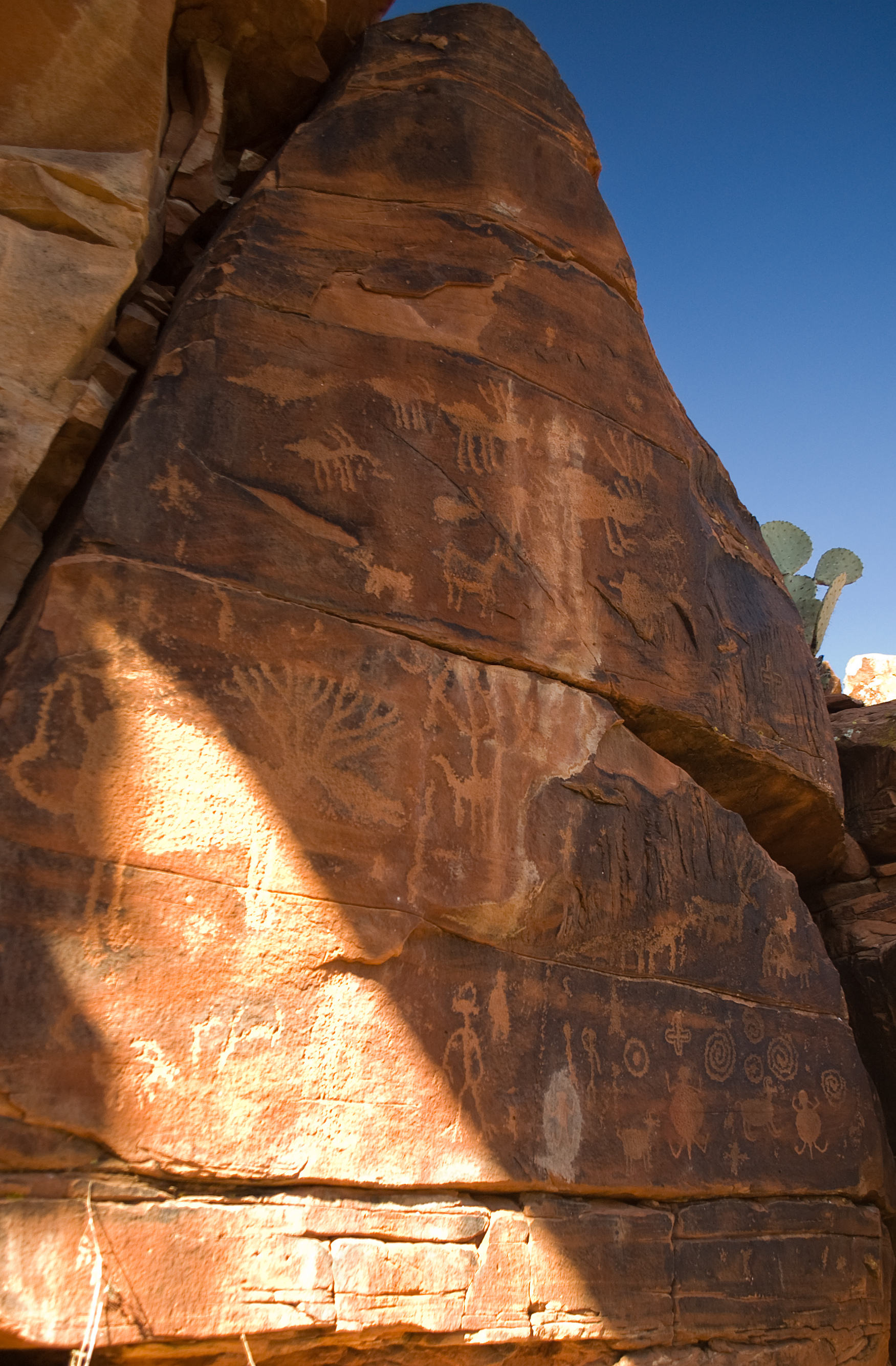 Red Tank Draw Petroglyphs | Zach Schierl Photography