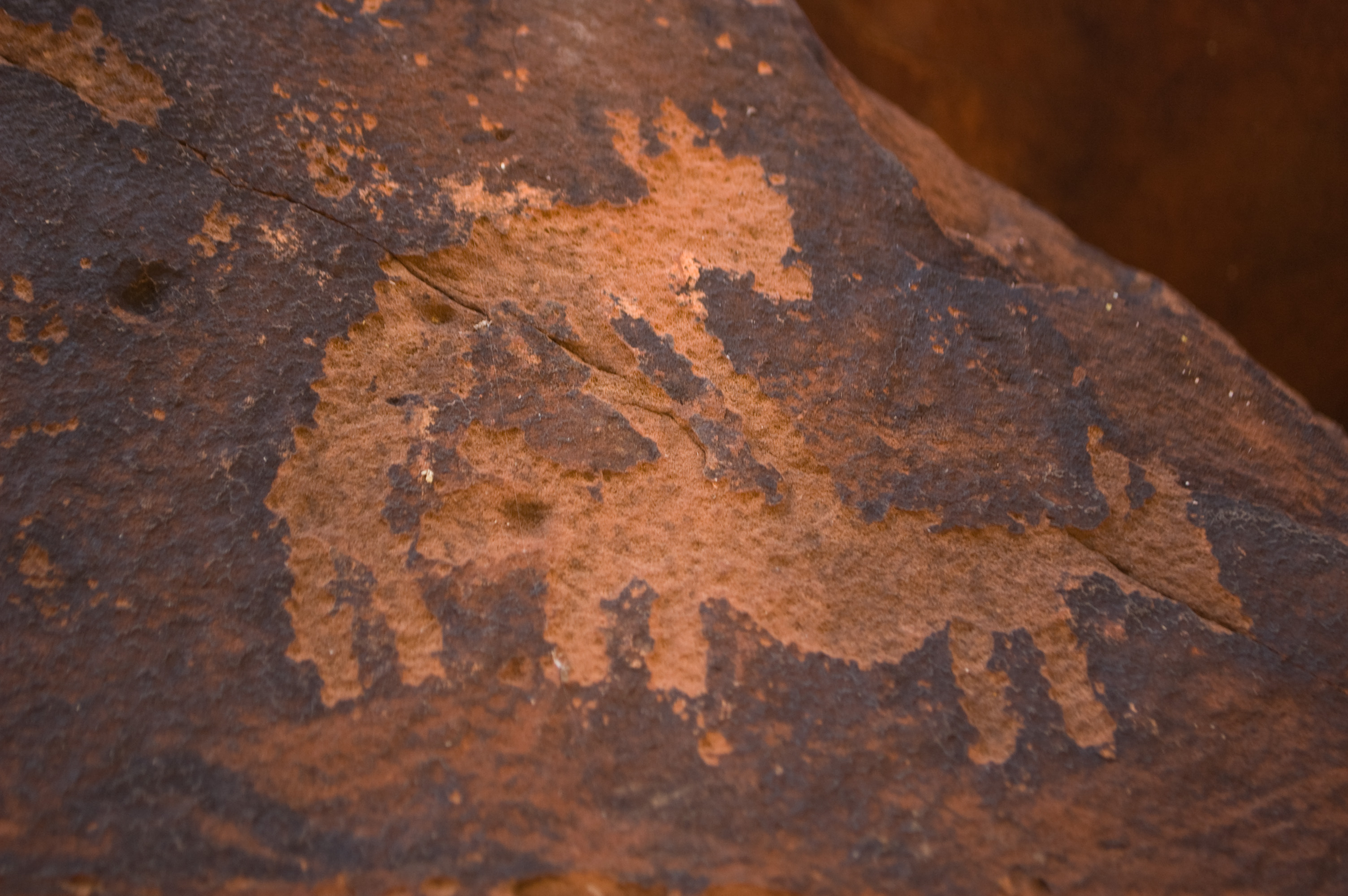 Red Tank Draw Petroglyphs | Zach Schierl Photography