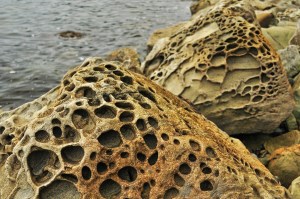 Honeycomb Weathering from the Desert to the Sea | Zach Schierl Photography