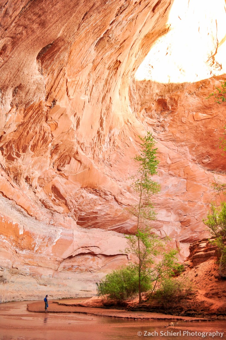Coyote Gulch in Pictures | Zach Schierl Photography