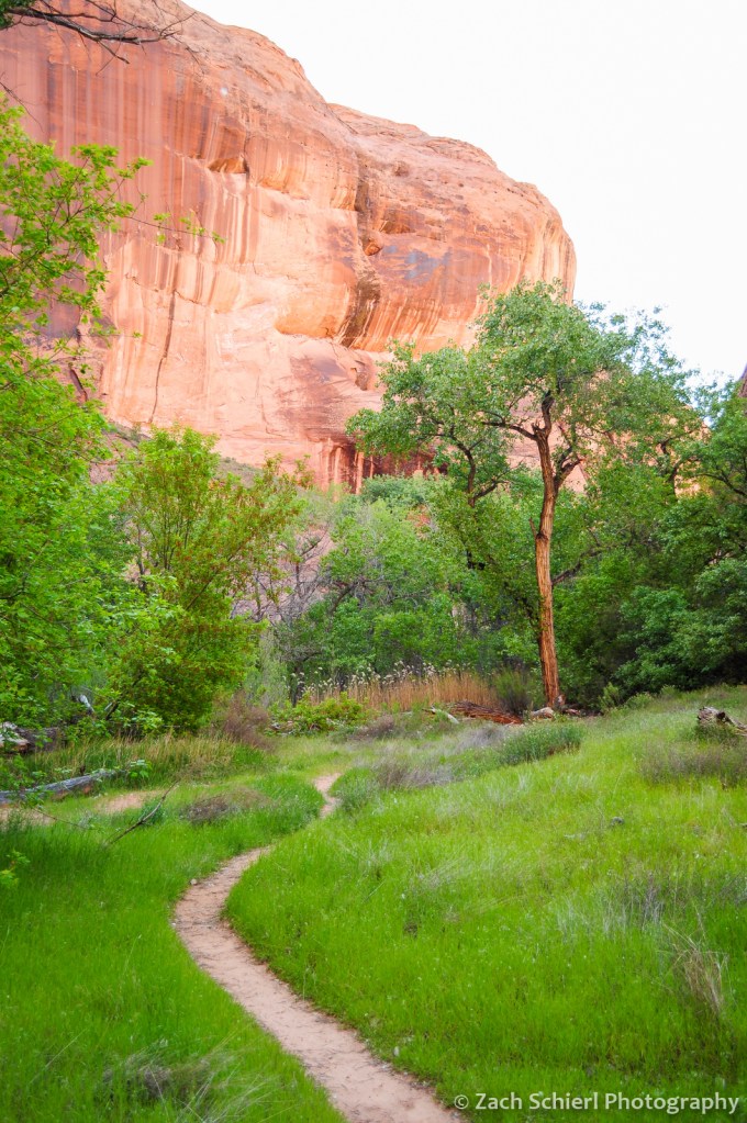 Coyote Gulch in Pictures | Zach Schierl Photography