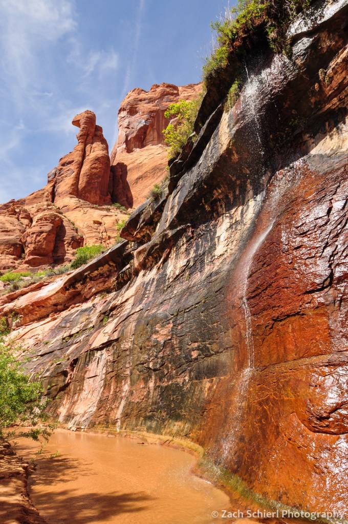 Coyote Gulch in Pictures | Zach Schierl Photography