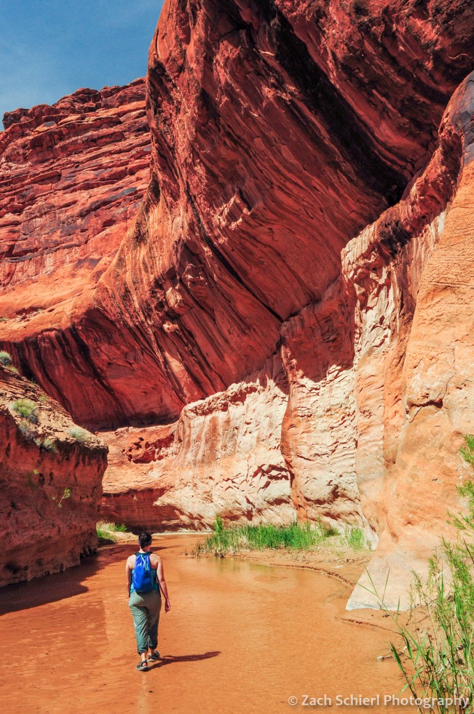 Coyote Gulch in Pictures | Zach Schierl Photography